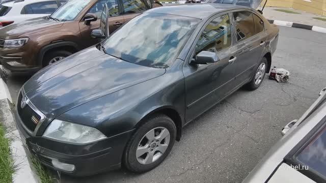 Skoda Octavia A5 лифтбек 2-е поколение eva коврики в салон и багажник evabel.ru 8800-222-48-45