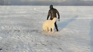 Утро