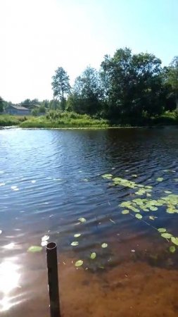 Река Хотча
