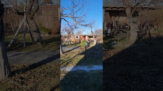 зимняя весна