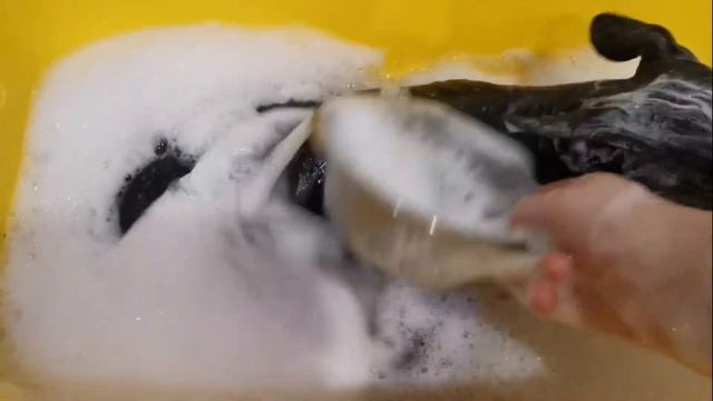 Пуховая китайская хохлатая Ница любит мыться