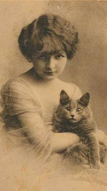 ШОК! Женщины разнеслись на "Четырёх свадьбах" – Эпичный клип взрывает интернет!