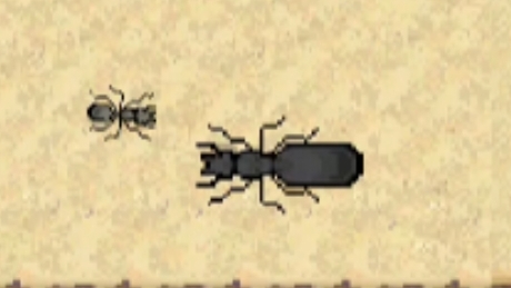 Pocket Ants: Симулятор колонии