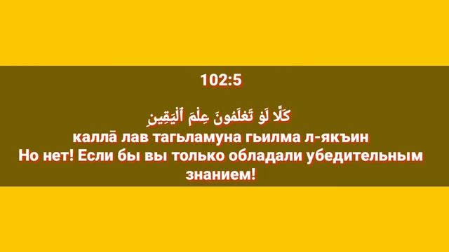 Сура «АТ - ТАКАСУР» для Изучения с Мишари Рашид Аль-Афаси (транскрипция, перевод и арабский)