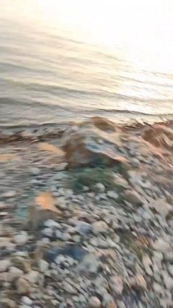 Кто также как и я мечтает сегодня о морюшке, поставьте 🩷