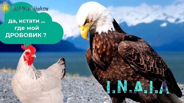I.N.A.I.A &, Viktor Poliakov  да, кстати. где мой ДРОБОВИК