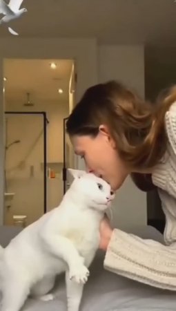 ОНИ такие МИЛЫЕ)))