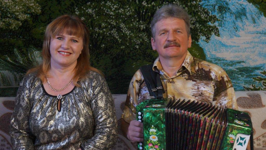 Дикие лебеди (1)