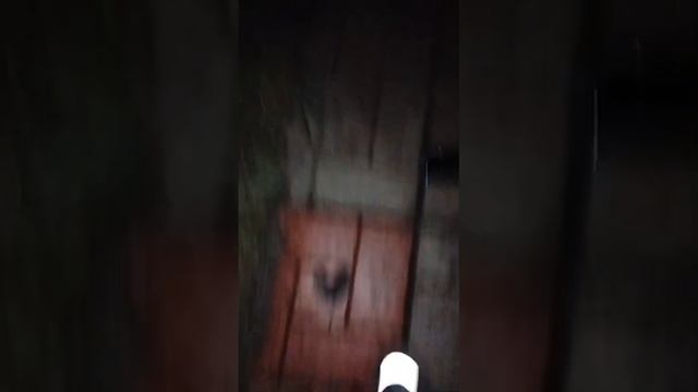 Краш тест на айфон 5