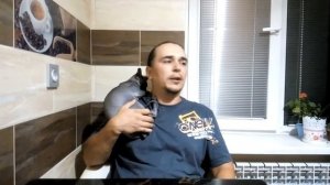 WBSS 2, опять тяжёлый вес, состав