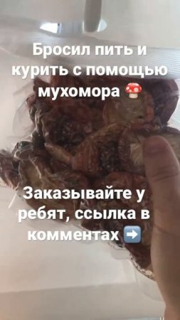 #мухомор #shorts #здоровье #микродозинг #грибы #заказать #бросилпить