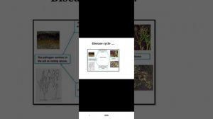 Diseases of Marigold and Coriander