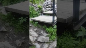 🌲 Ущелье реки Ойрок — природное сокровище Алтая 🌊