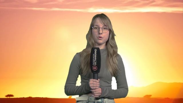 2409 ТВ3 хромакей