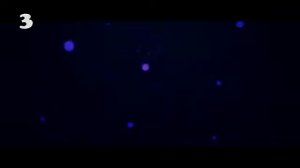 Топ интро без текста