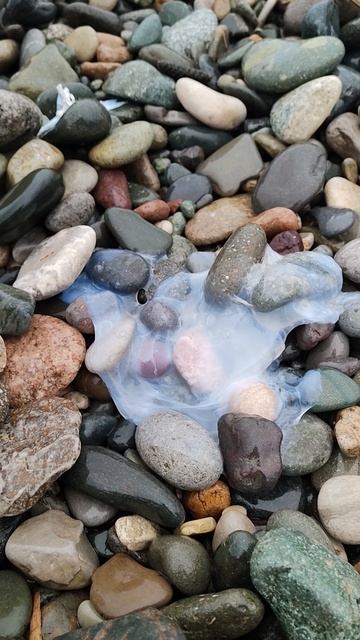 Что можно увидеть на пляже в Батуми