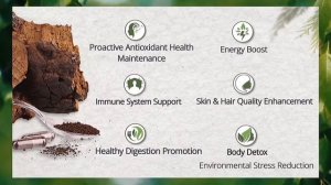 Pure Potent and Powerful Wild Siberian Chaga freeze-dry extract capsules