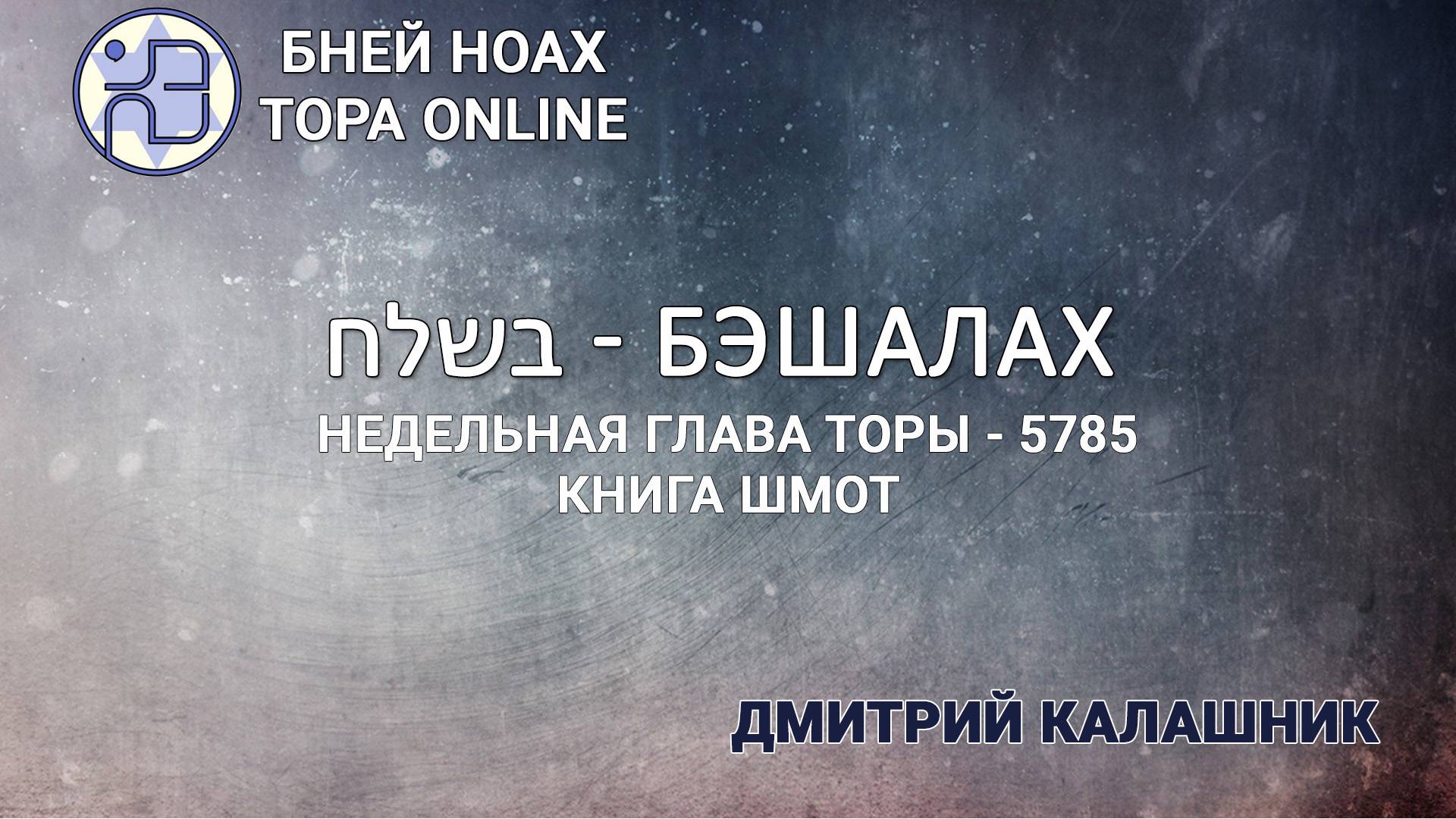 Недельная глава Торы - Парашат а-шавуа - "БЭШАЛАХ" 5785/2025. Дмитрий Калашник