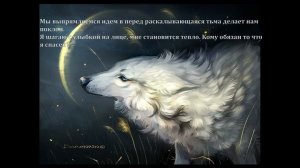 Nocturna, Эхо - поэзия