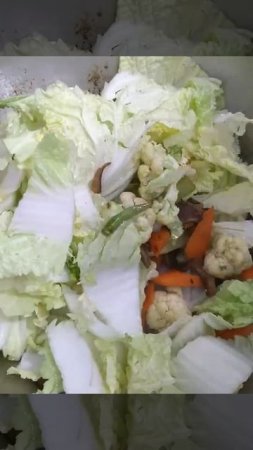 Chopsuey w/ Shiitake mushroom cooked in less than 10mins.| "Oh my gulay" #shorts  #tnx4dsupport👇👇👇