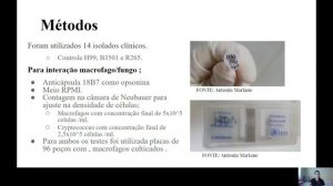 ID 1601 Análise da interação de isolados clínicos de Cryptococcus spp com macrófagos