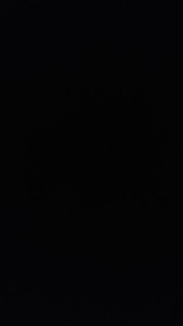 03-02-2025тафинцева гавкает на двери