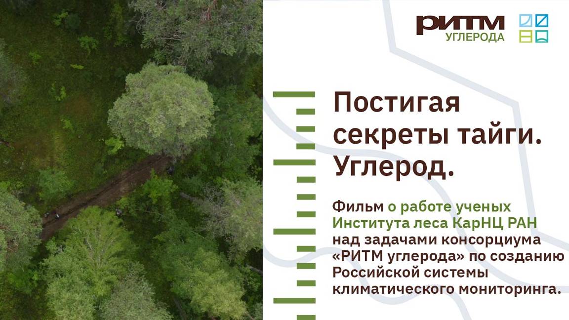Постигая секреты тайги. Углерод. Фильм ИЛ КарНЦ РАН, консорциум «РИТМ углерода»