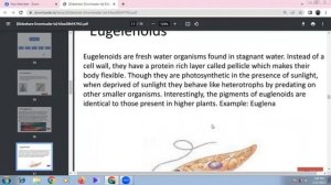 Biological Classification IPE and NEET