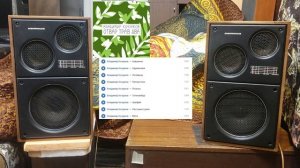 Аудиофильский отвар из трав и грибов