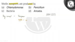 Motile zoospores are produced by
(a) Chlamydomonas
(b) Penicillium
...