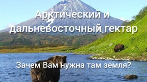 Дальневосточный и Арктический гектар. Презентация курса