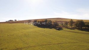 Не привязано счастье ко времени года