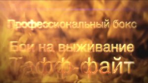 Боксерский турнир, посвященный Дню Победы