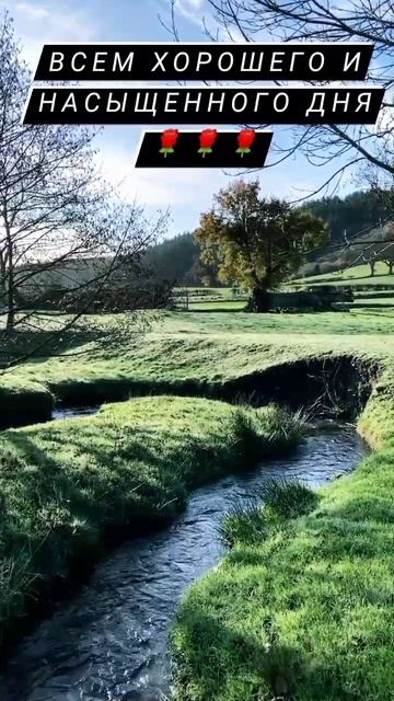 всем хорошего дня