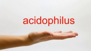 How to Pronounce acidophilus - American English