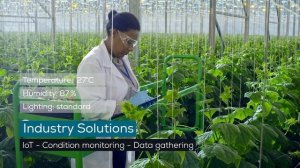 Innovative software solutions for your business. | ambitas