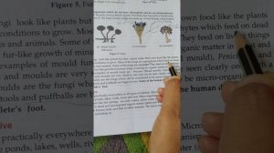 Class 8th {Ch. - Micro - Organism : Friend and Foe } (Topic - Algae and Fungi) L-4 by Rekha Sharma.
