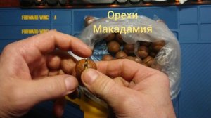 Орехи Макадамия