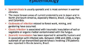 Lecture 51 Subcutaneous Mycoses