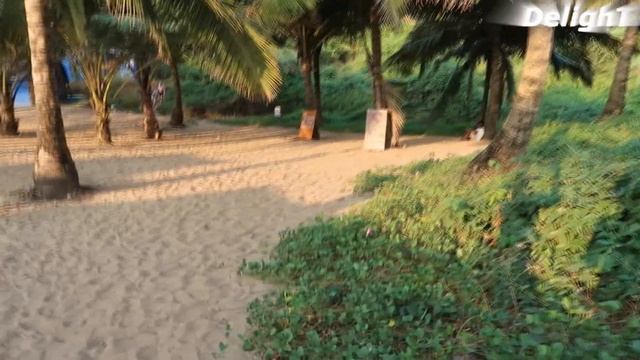 Индия Гоа 2017 Часть 2