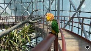 THE GREEN PLANET DUBAI UAE