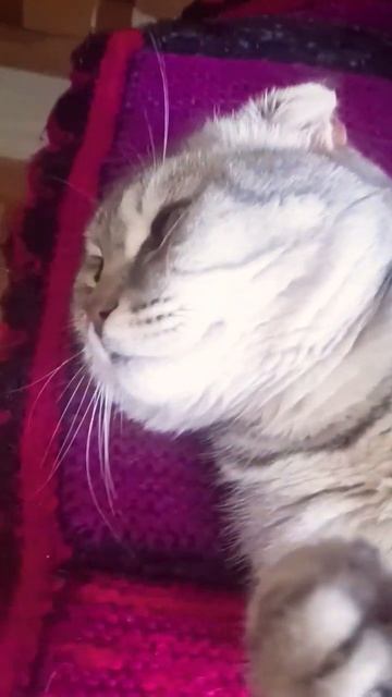 23 сентября 2024 г.