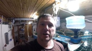 Убили датчик CO2 и другие новости моей УЗВ