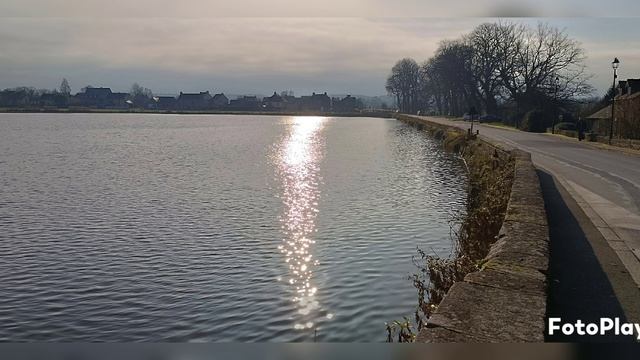 Владимир Молотков, "Кленовый лист и водомерка"