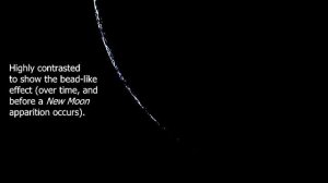 Crescents To Beads
