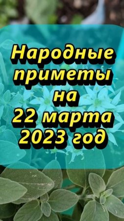 Народные приметы на 22 марта 2023 года
