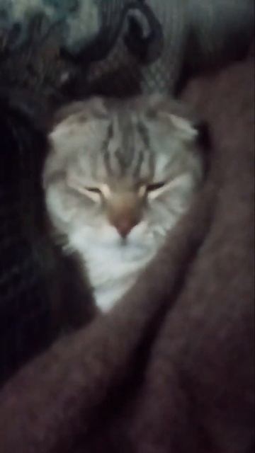 26 августа 2024 г.