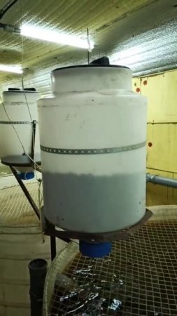 бункеры для корма в УЗВ на сома