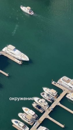Прием таблеток при шизофрении