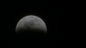 Wolf Moon 2019